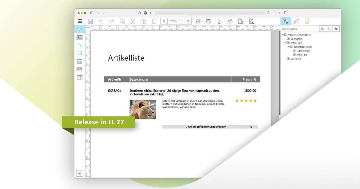 Online-Demo für Entwicklungskomponente List & Label von combit